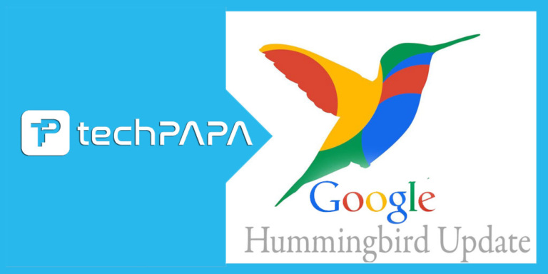 Google Hummingbird : How It Affect the Website and, How to Escape From ...